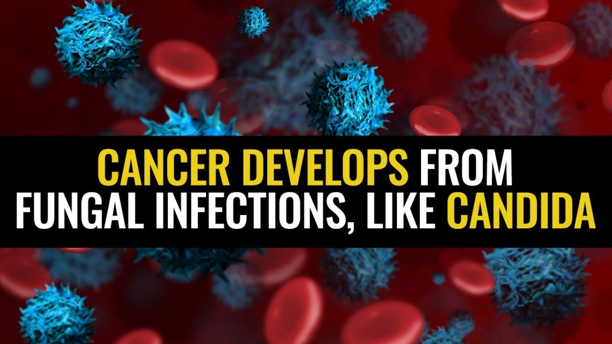 MEDICINE WHEEL: Cancer Is A Fungus & It’s Curable | RIELPOLITIK